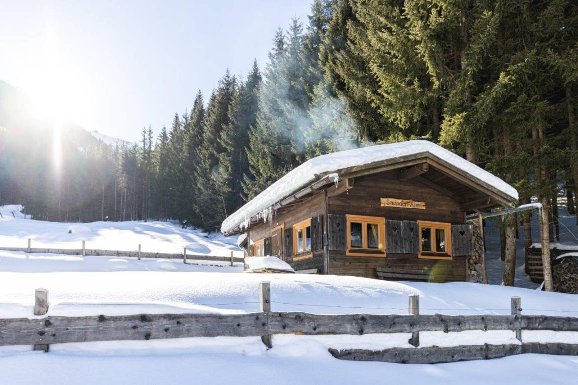 Ferienhaus ∙ 4 Gäste - Saalbach