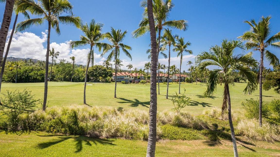 102 M² Condo ∙ 1 Bedroom ∙ 4 Guests - Captain Cook, HI