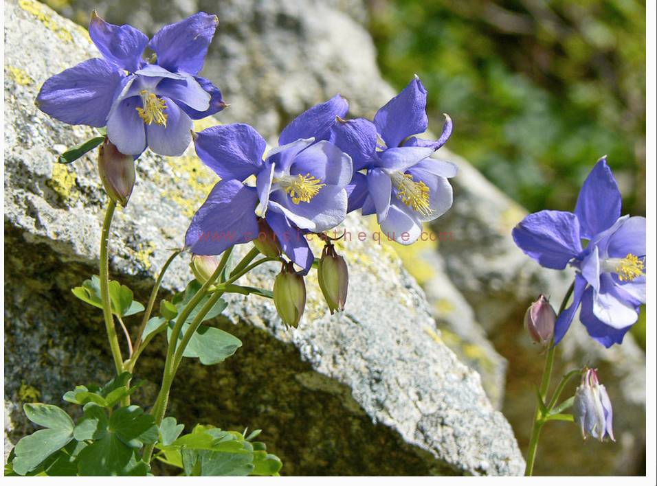 59 M² Gîte ∙ 2 Chambres ∙ 4 Personnes - Corse-du-Sud