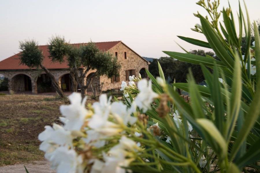 45 M² Agriturismo ∙ 1 Camera Da Letto ∙ 3 Ospiti - Castagneto Carducci