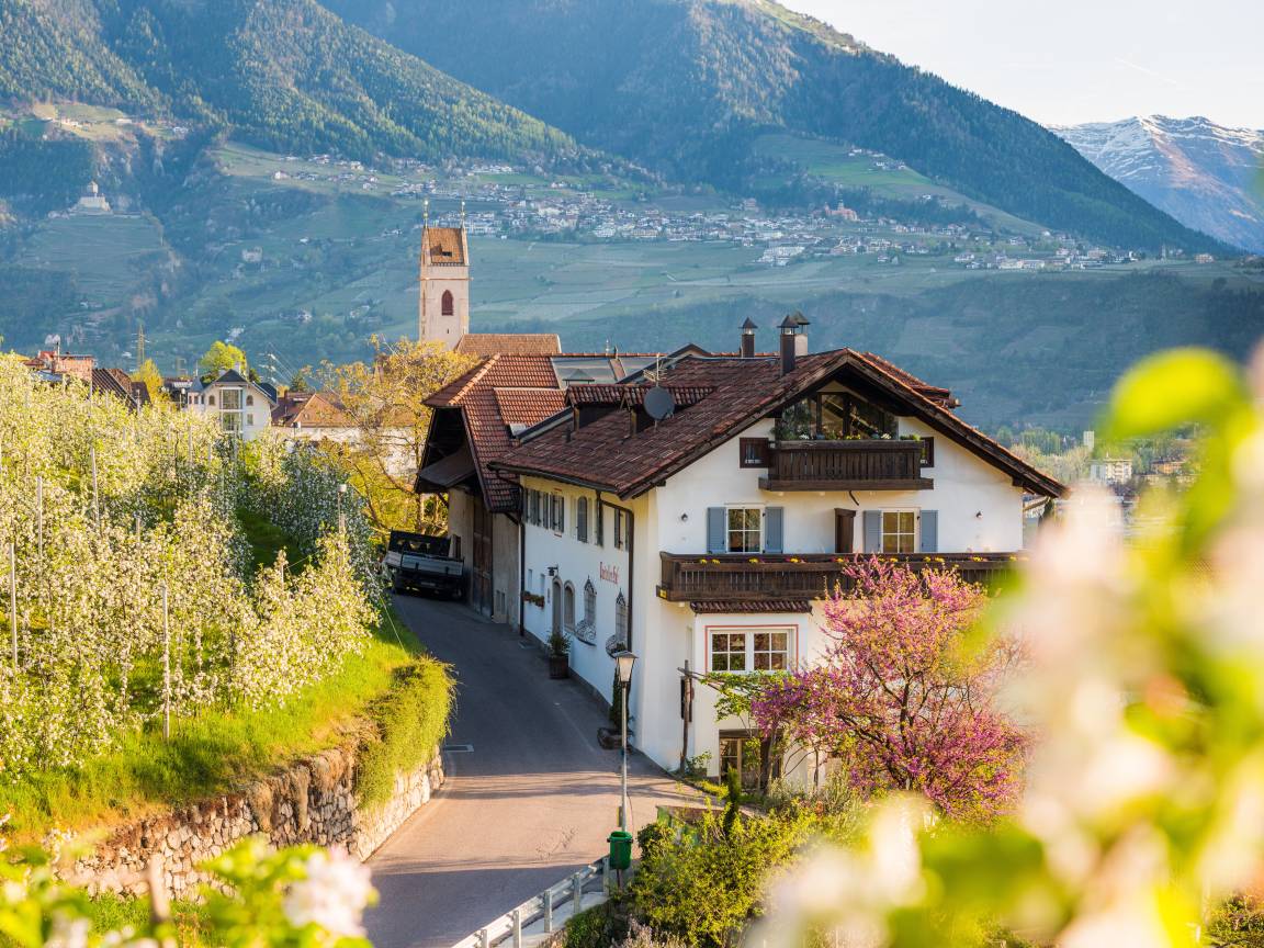 35 M² Apartment ∙ 1 Bedroom ∙ 2 Guests - Tirol