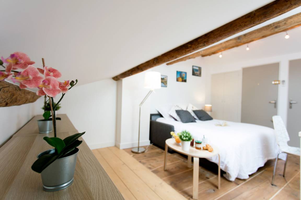 29 M² Huoneisto ∙ 1 Makuuhuone ∙ 2 Vierasta - Montpellier