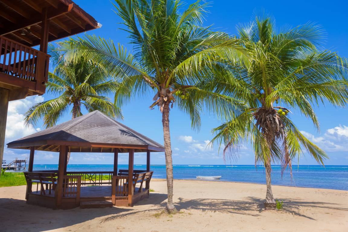 Apartamento ∙ 2 Habitaciones ∙ 4 Huéspedes - Roatán