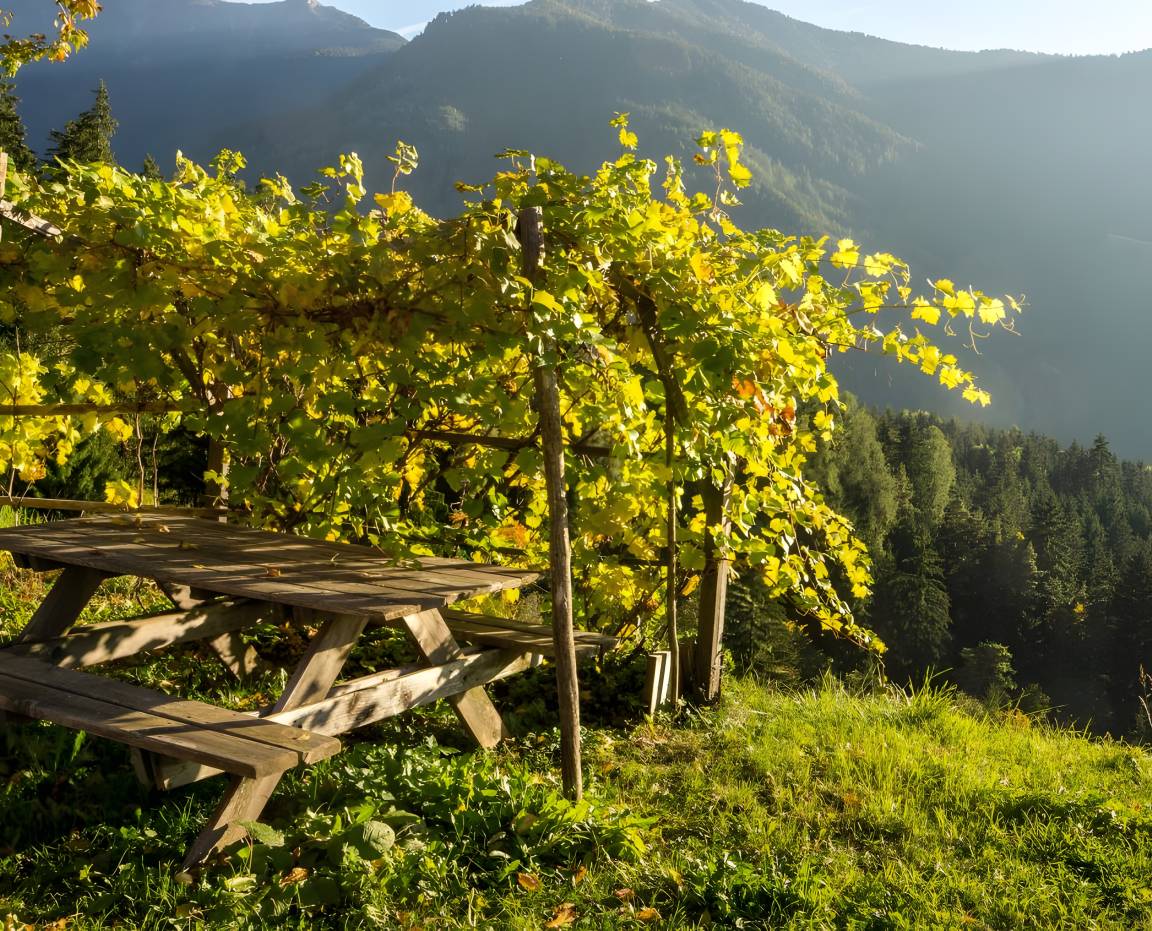 70 M² Chalet ∙ 1 Schlafzimmer ∙ 4 Gäste - Brixen