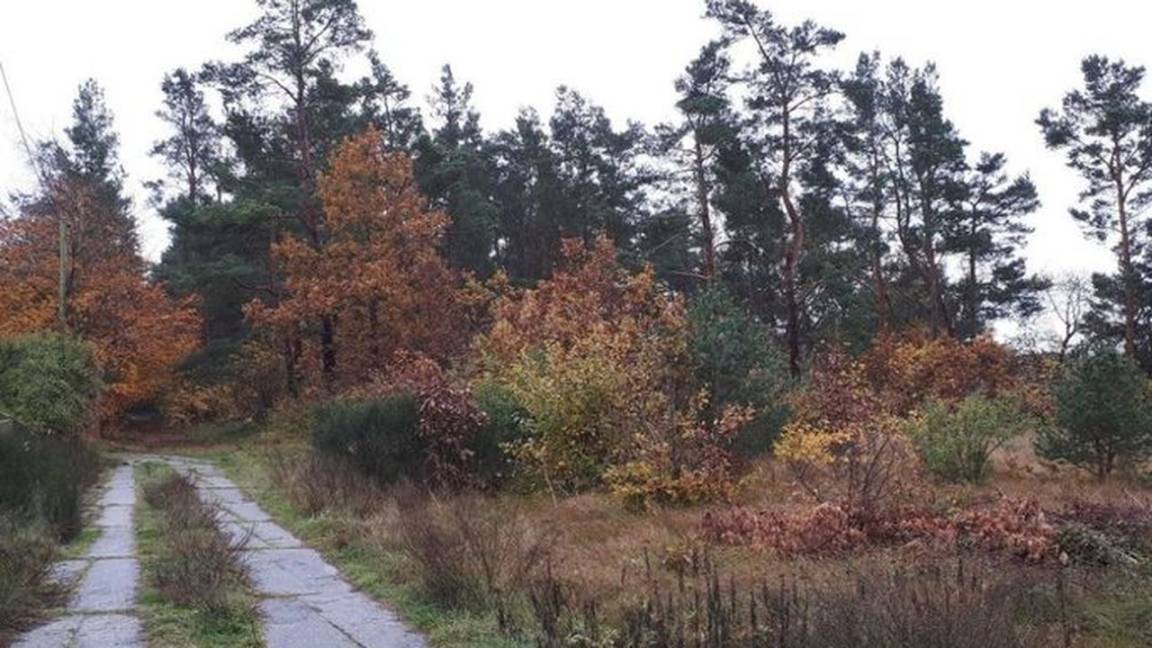 65 M² Apartment ∙ 1 Bedroom ∙ 3 Guests - Prerow