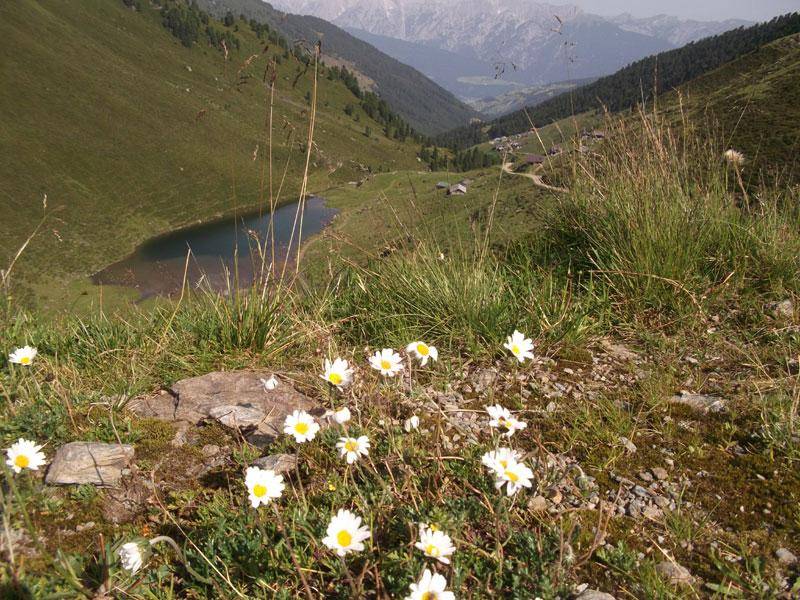 35 M² Appartement ∙ 1 Chambre ∙ 5 Personnes - Wattens