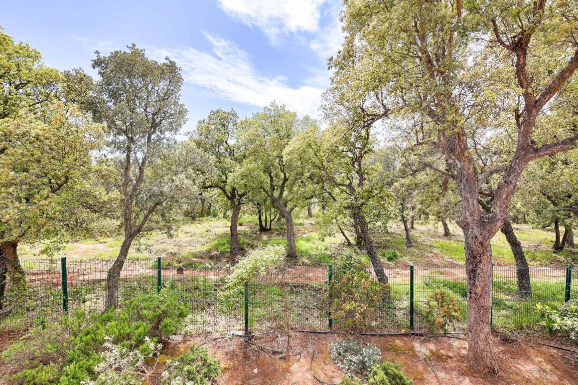 35 M² Apartment ∙ 1 Bedroom ∙ 6 Guests - Grimaud