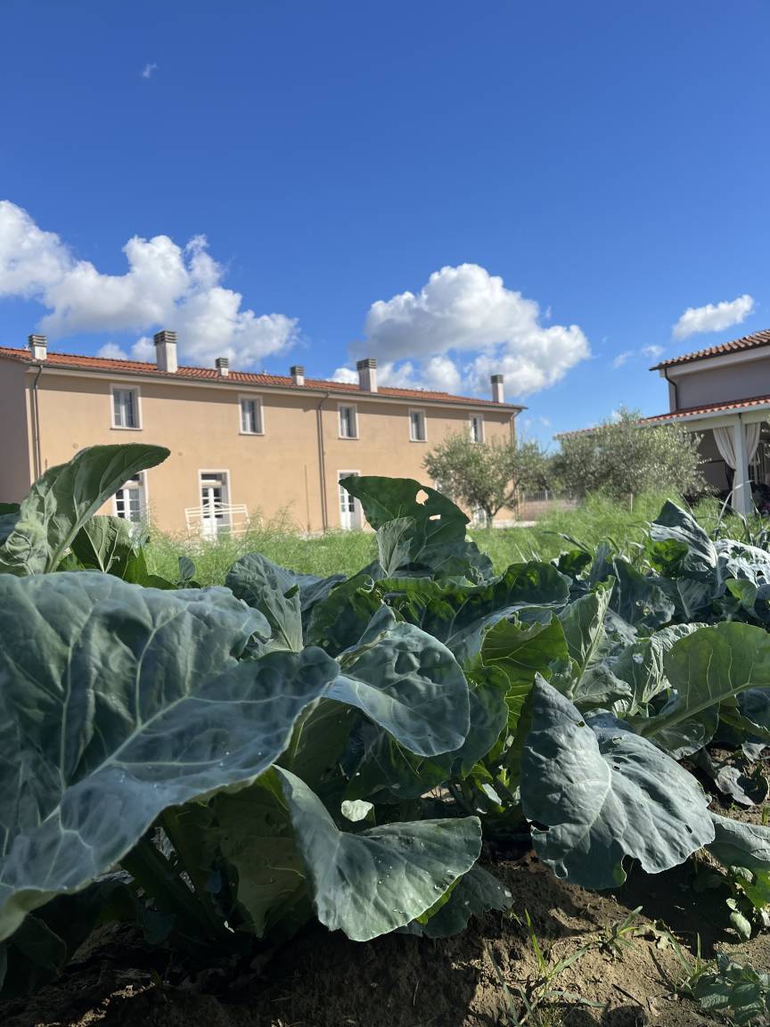 64 M² Farmhouse ∙ 2 Bedrooms ∙ 4 Guests - Pisa
