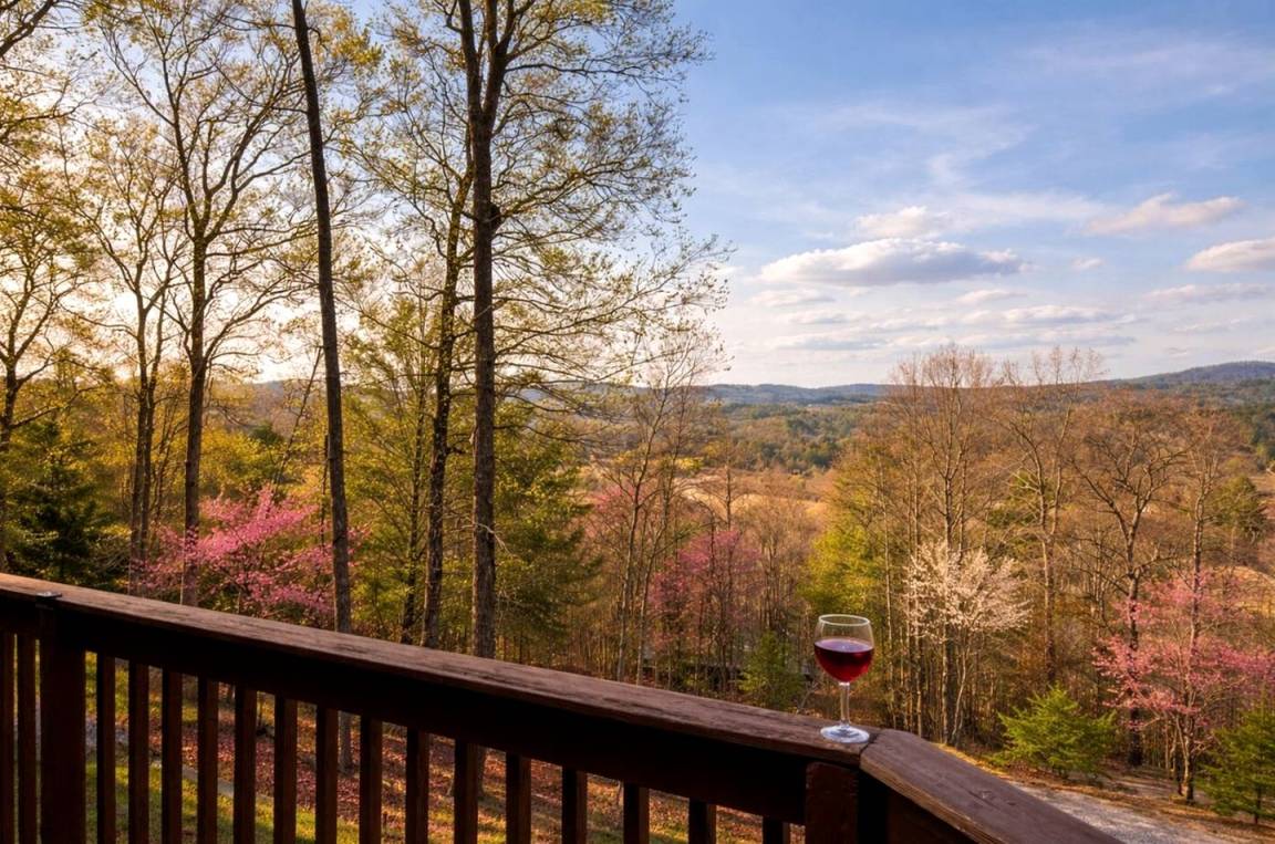 House ∙ 3 Bedrooms ∙ 8 Guests - Blairsville, GA