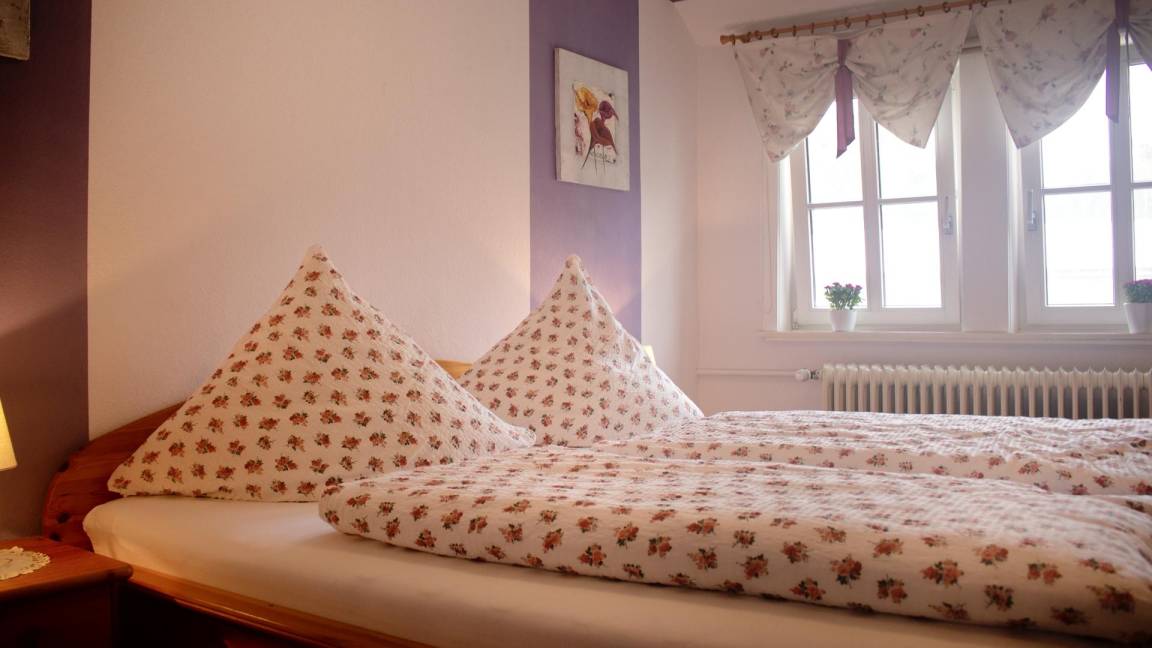 20 M² Hotel ∙ 1 Bedroom ∙ 2 Guests - Behringen