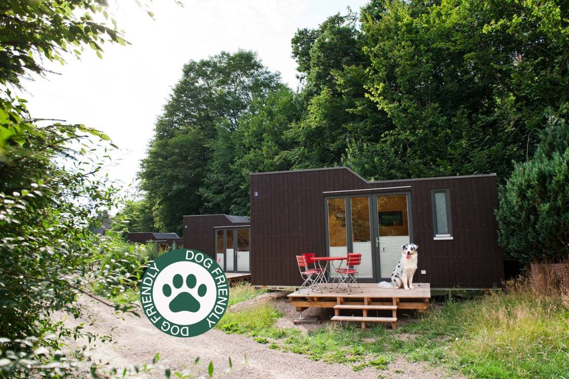 18 M² Ferienhaus ∙ 1 Schlafzimmer ∙ 4 Gäste - Osterode am Harz