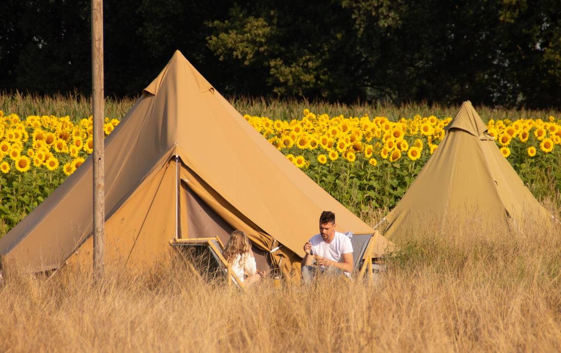 Holiday Park ∙ 2 Bedrooms ∙ 2 Guests - Overijssel