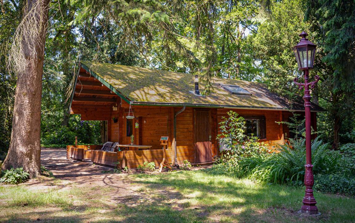 55 M² Casa Vacanza ∙ 2 Camere Da Letto ∙ 4 Ospiti - Zeist