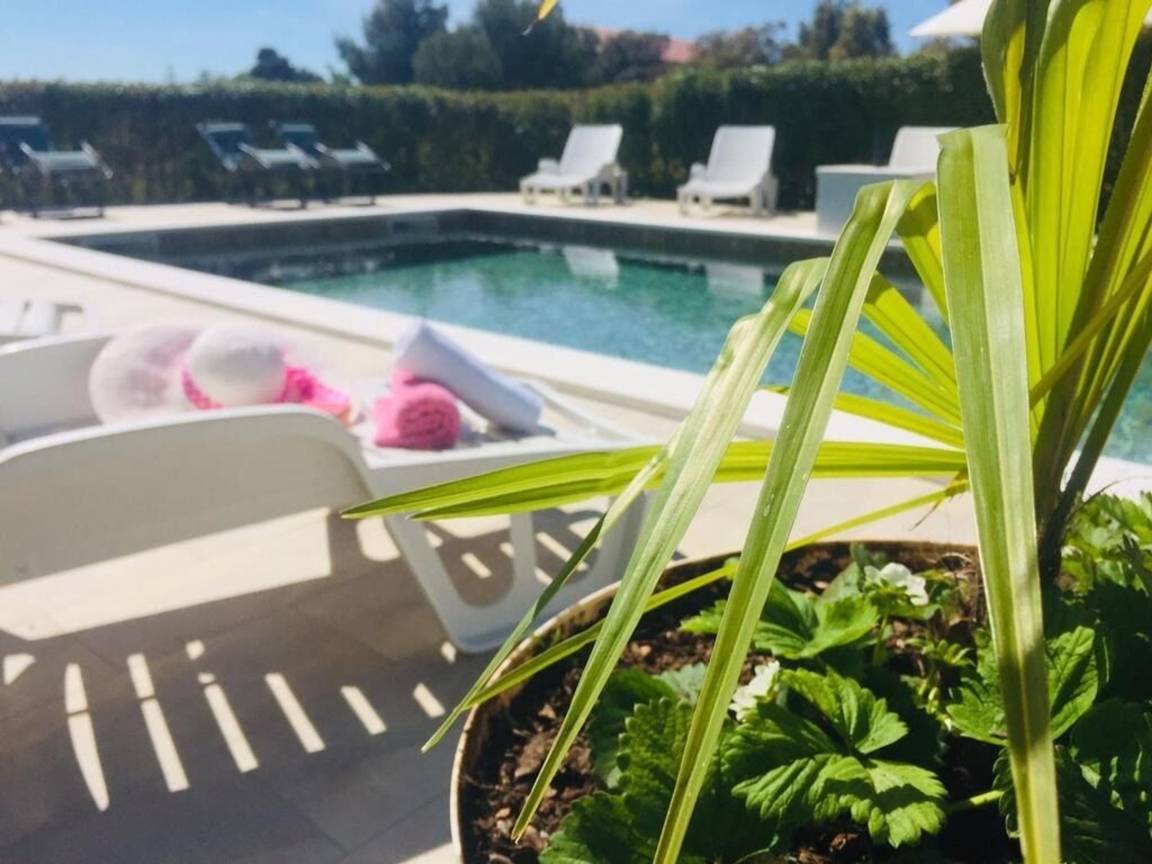 Apartamento ∙ 1 Habitación ∙ 2 Huéspedes - Dugi otok