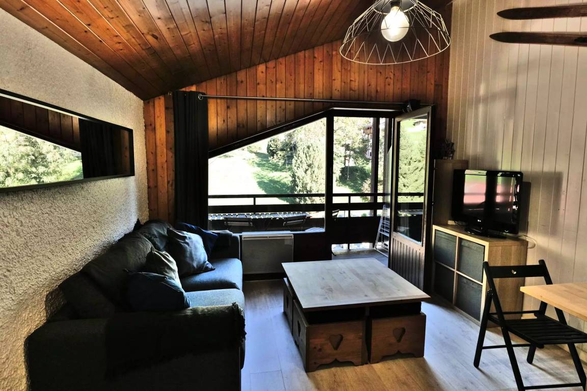 23 M² Estudio ∙ 1 Habitación ∙ 4 Huéspedes - Mont-Saxonnex