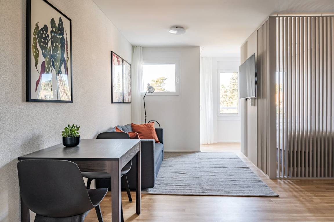 26 M² Apartamento ∙ 2 Huéspedes - Bâle