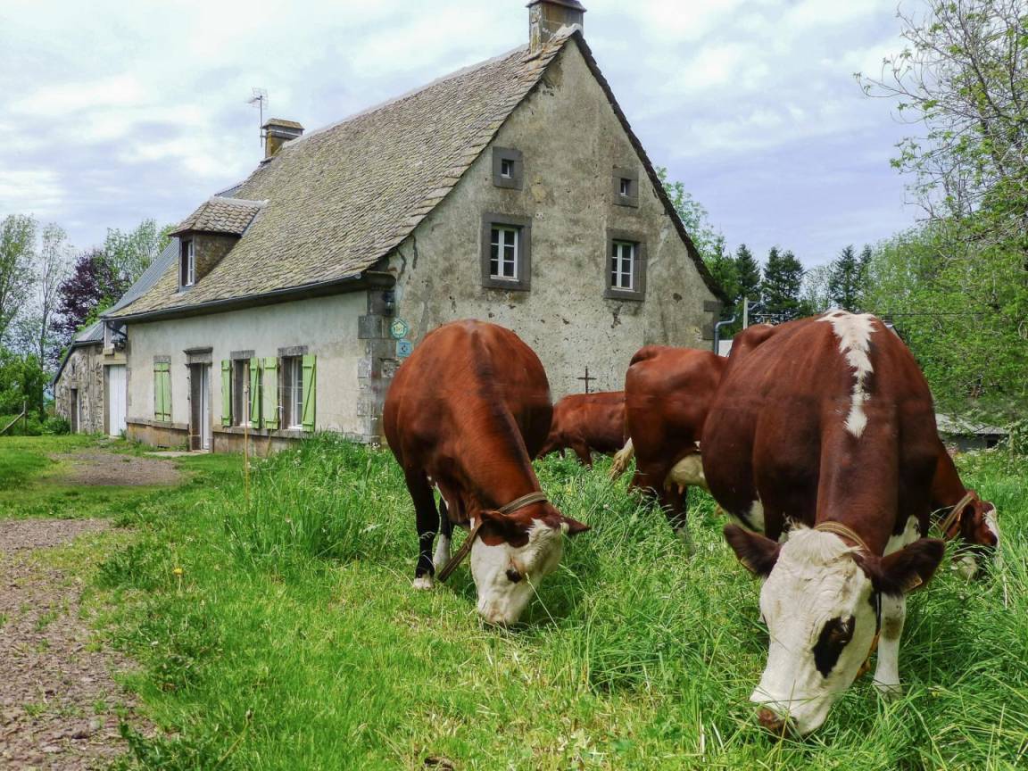 170 M² Gîte ∙ 4 Chambres ∙ 8 Personnes - La Bourboule
