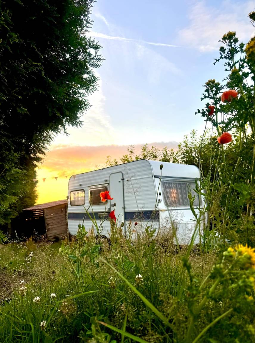 14 M² Camping-unterkunft ∙ 2 Schlafzimmer ∙ 3 Gäste - Groningen Provinz, Niederlande