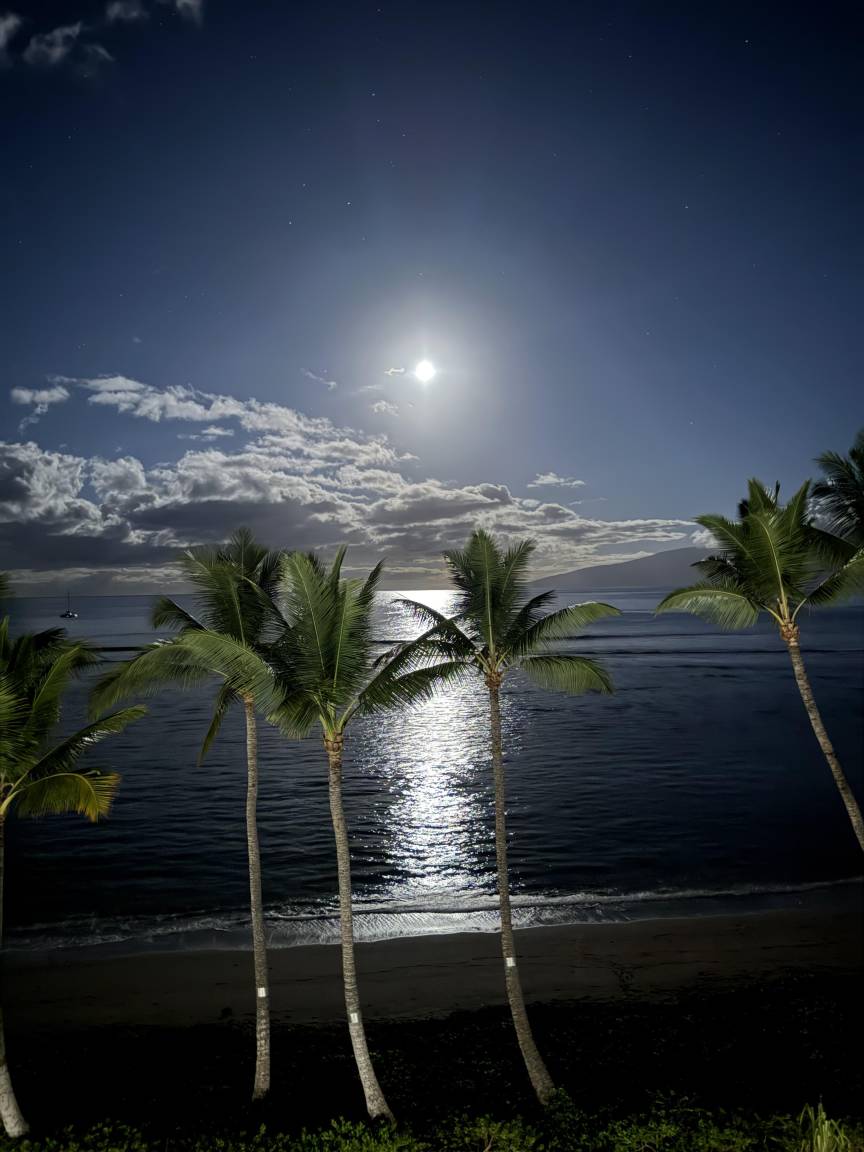 39 M² Apartamento ∙ 1 Habitación ∙ 2 Huéspedes - Lahaina, HI
