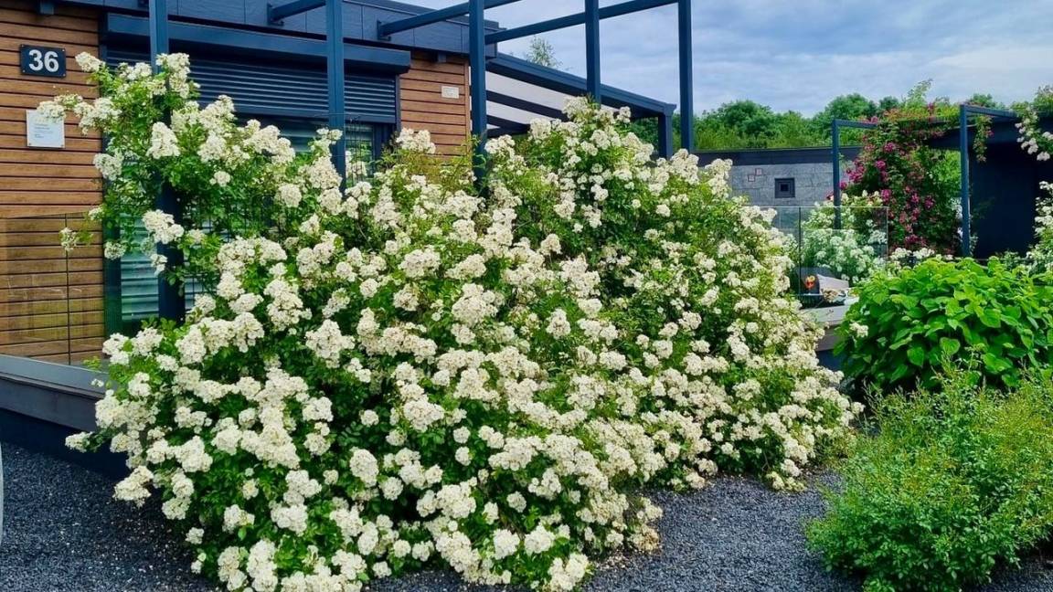 60 M² House ∙ 2 Bedrooms ∙ 4 Guests - Goch