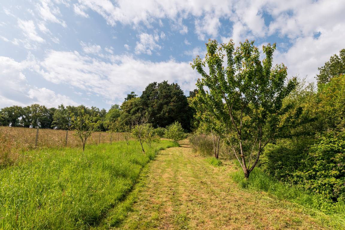 20 M² Chambre D'hôtes ∙ 1 Chambre ∙ 2 Personnes - Pluvigner