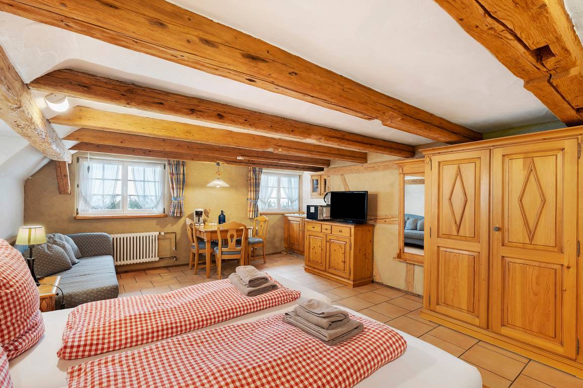 29 M² Studio ∙ 1 Chambre ∙ 3 Personnes - Sasbachwalden