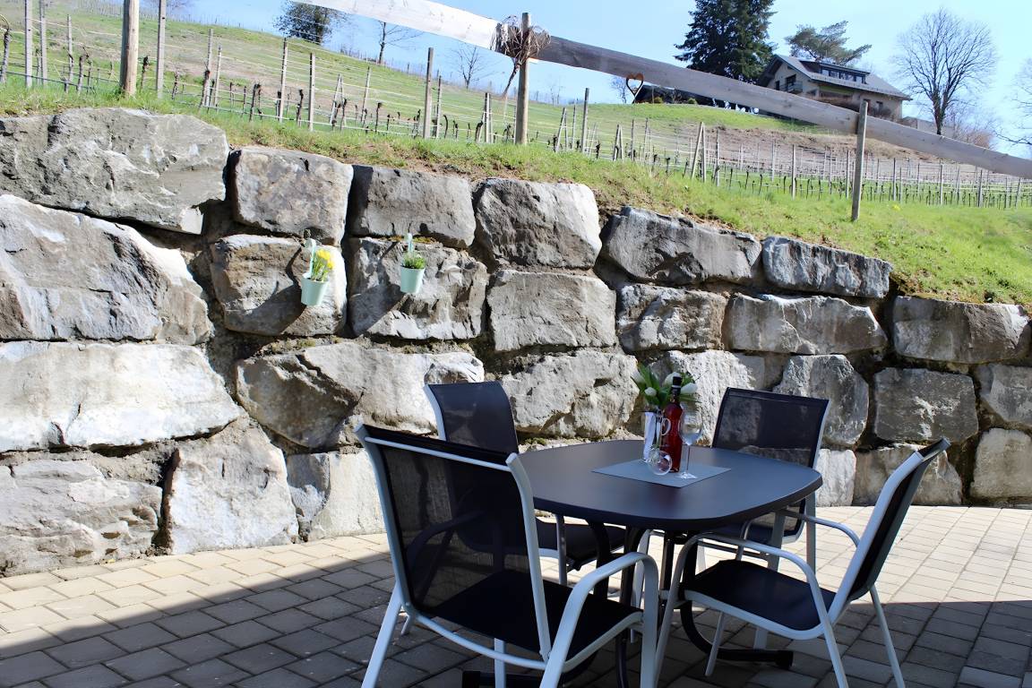 45 M² Appartement ∙ 1 Chambre ∙ 3 Personnes - Oberkirch