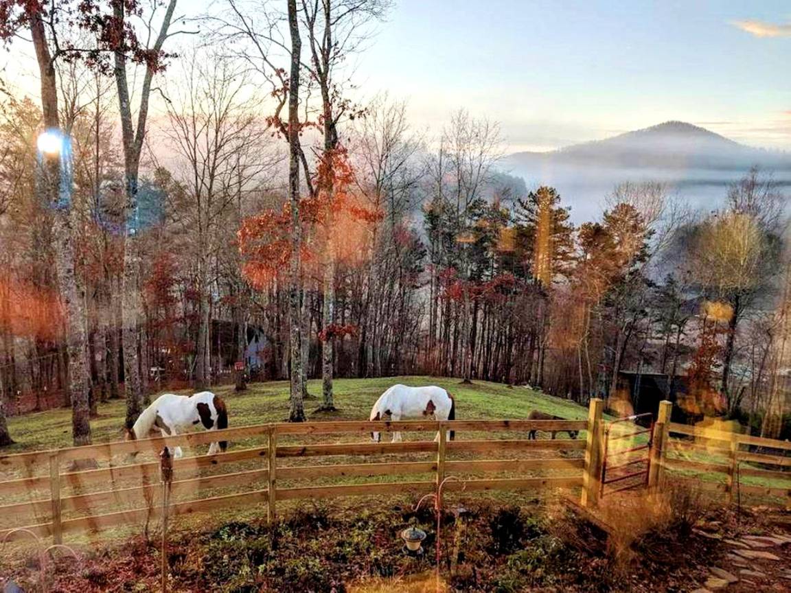 Farmhouse ∙ 1 Bedroom ∙ 2 Guests - Blue Ridge, GA