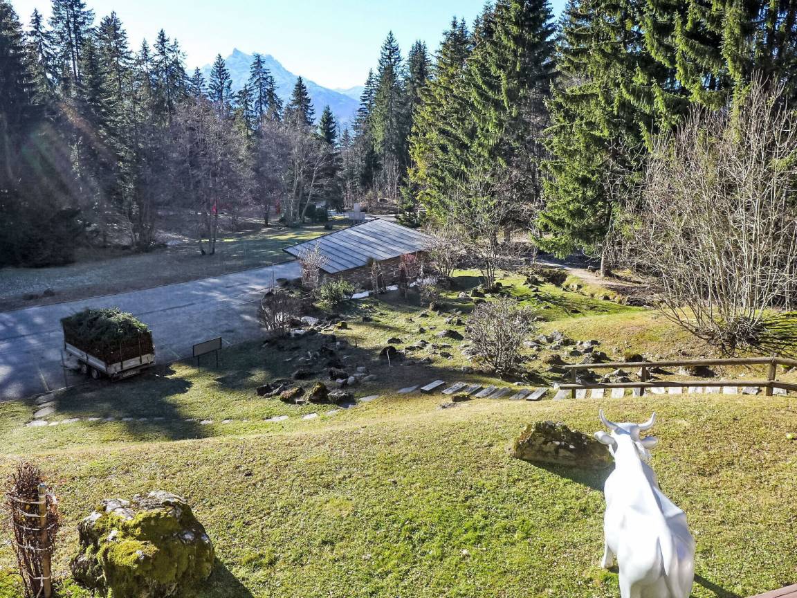 85 M² Appartement ∙ 2 Chambres ∙ 5 Personnes - Aigle
