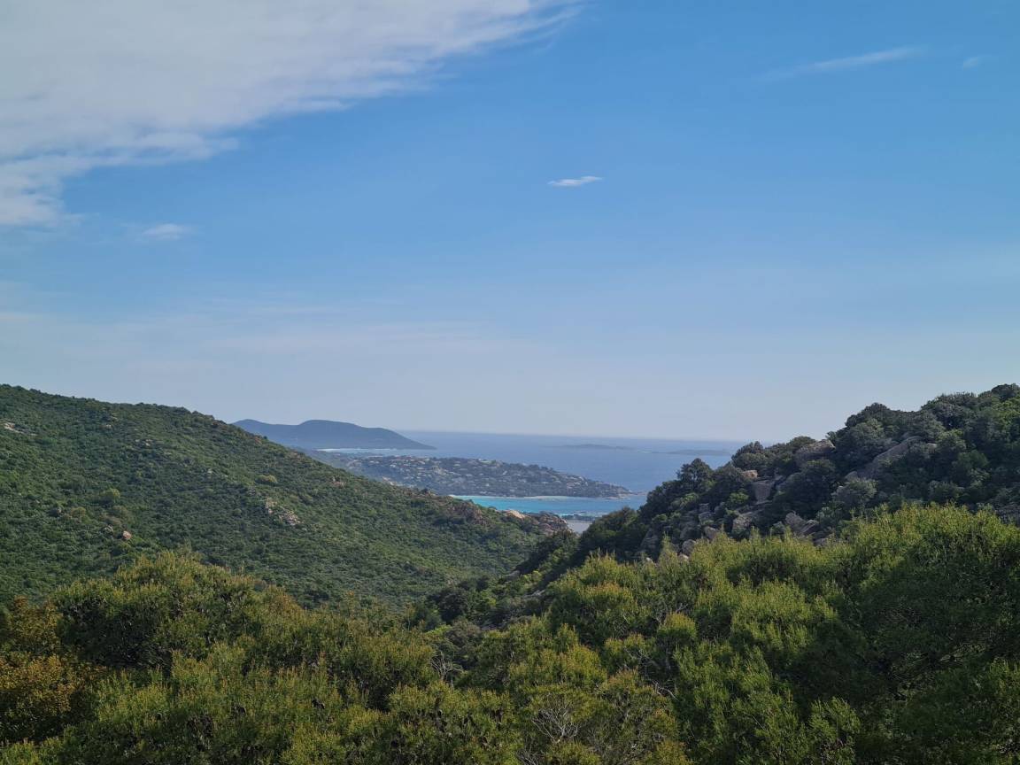 60 M² Resort ∙ 1 Bedroom ∙ 4 Guests - Corsica
