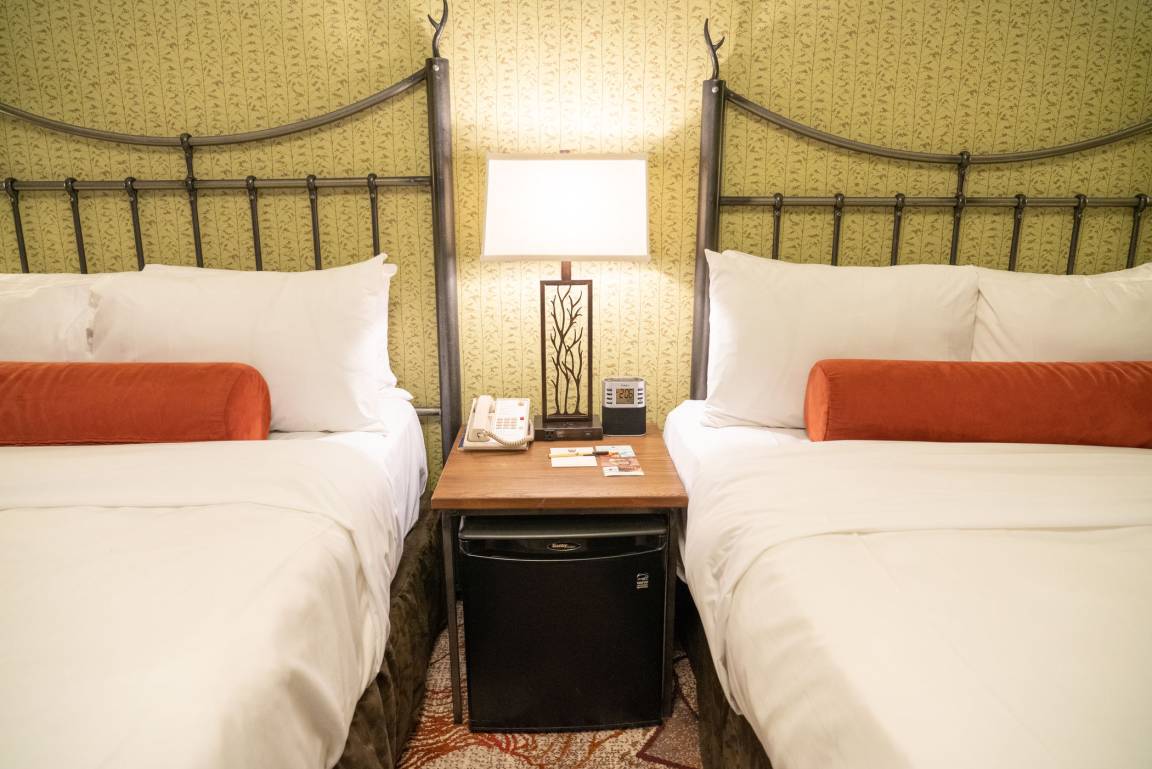 Hôtel ∙ 1 Chambre ∙ 4 Personnes - Banff