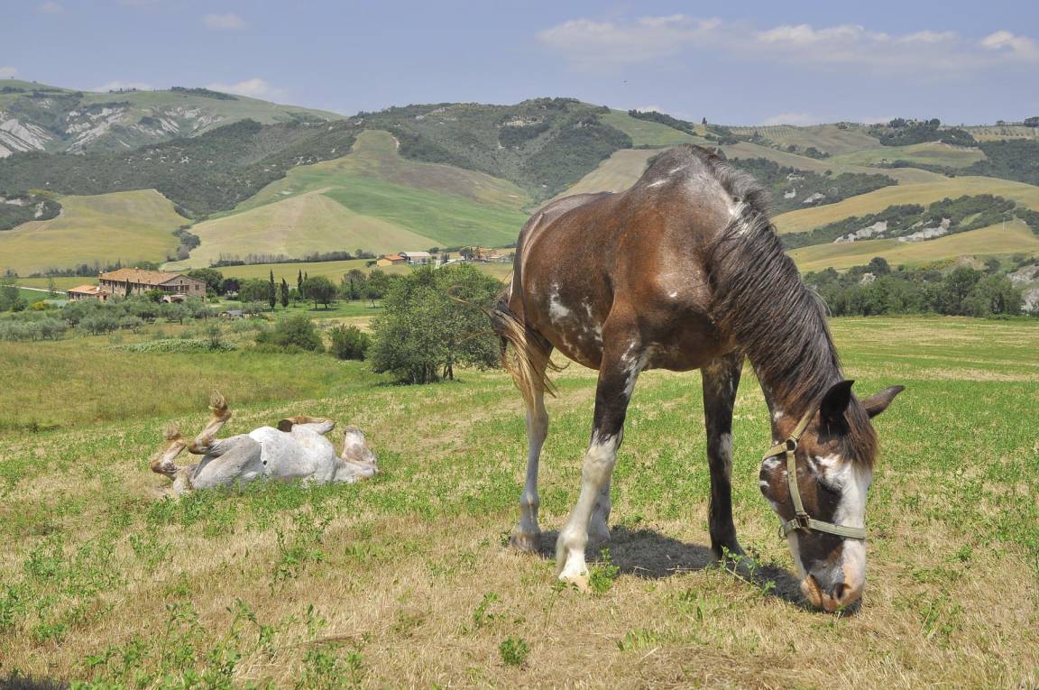 80 M² Farmhouse ∙ 3 Bedrooms ∙ 5 Guests - Volterra