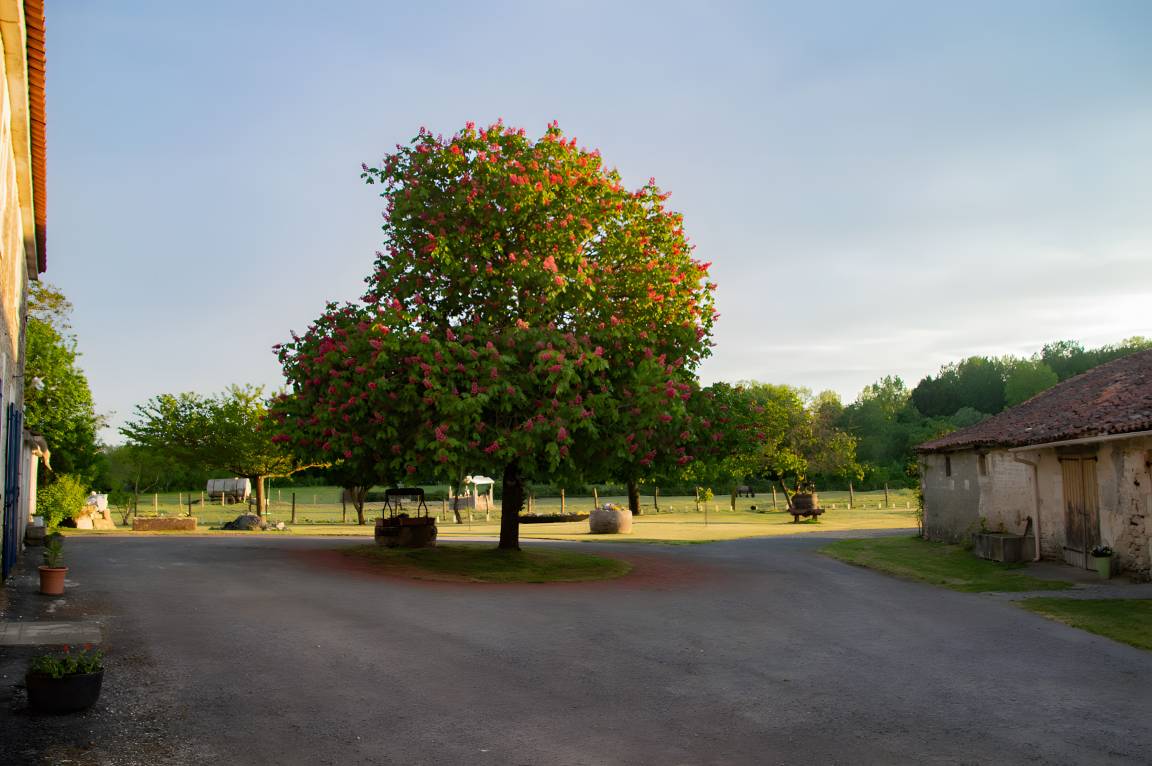 70 M² Maison De Vacances ∙ 3 Chambres ∙ 6 Personnes - Fontenay-le-Comte