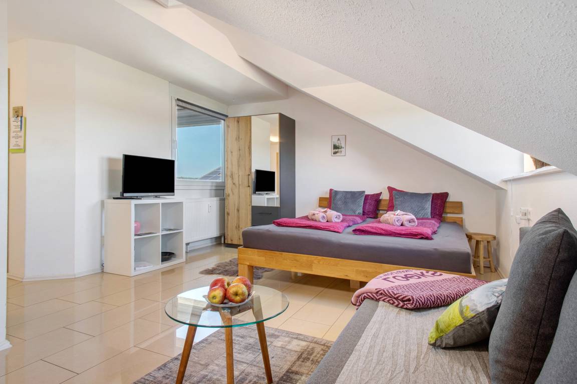 40 M² Appartement ∙ 1 Chambre ∙ 2 Personnes - Friedrichshafen