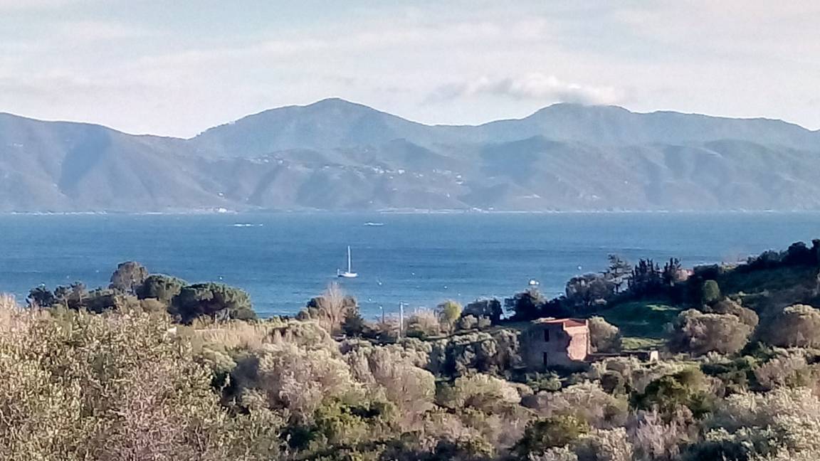 75 M² Villa ∙ 2 Chambres ∙ 5 Personnes - Corse-du-Sud