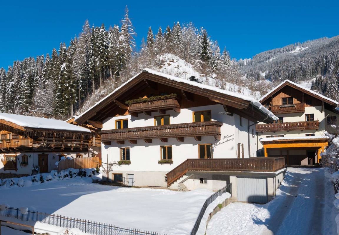 60 M² Apartamento ∙ 1 Habitación ∙ 5 Huéspedes - Hochkönig