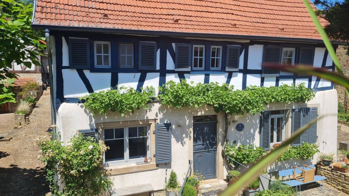 80 M² Ferienwohnung ∙ 2 Schlafzimmer ∙ 5 Gäste - Ingelheim am Rhein