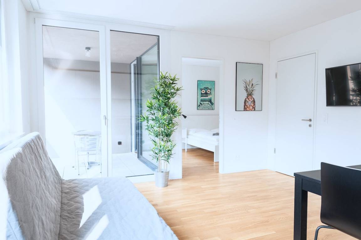 46 M² Apartamento ∙ 1 Habitación ∙ 2 Huéspedes - Basilea