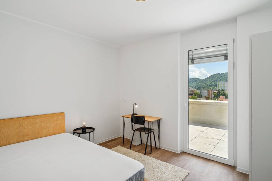 89 M² Private Room ∙ 1 Bedroom ∙ 1 Guest - 格拉茨