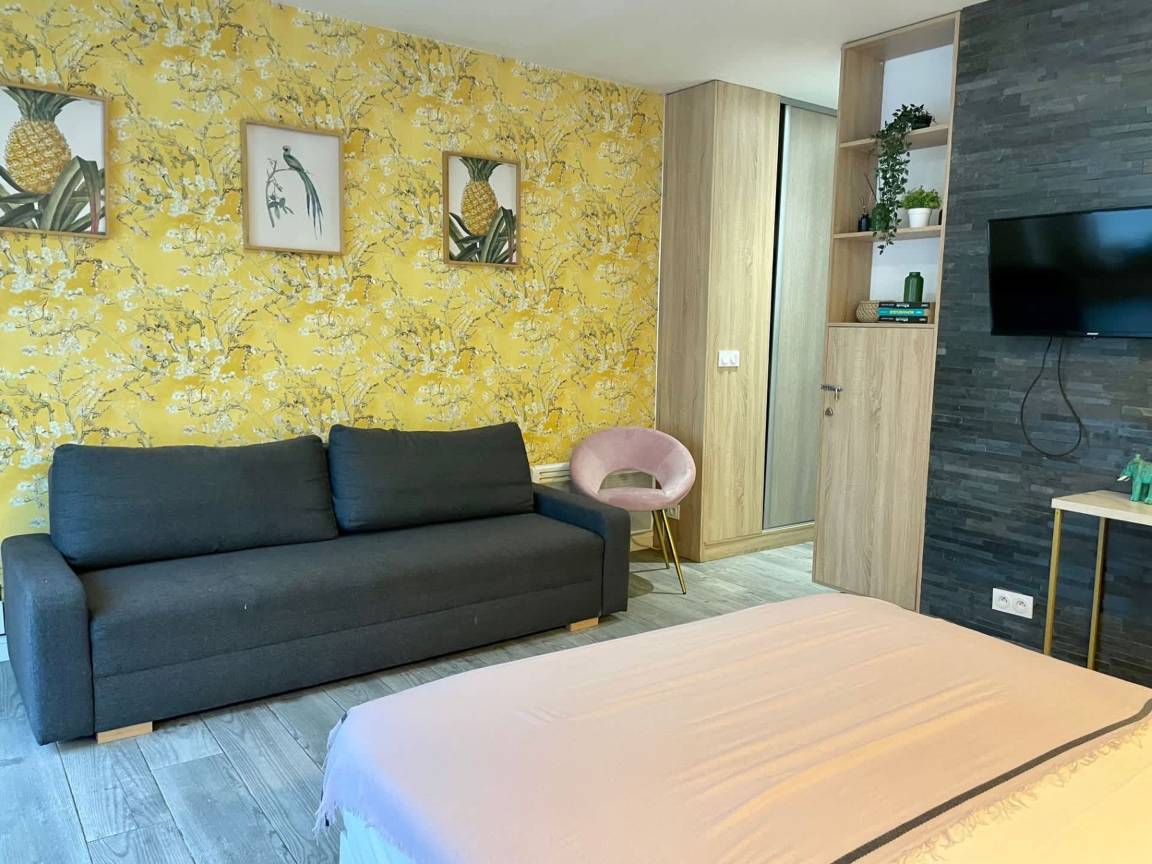 Apartment ∙ 1 Bedroom ∙ 4 Guests - Issy-les-Moulineaux