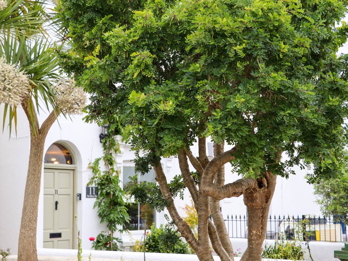 Cottage ∙ 2 Bedrooms ∙ 4 Guests - Eastbourne