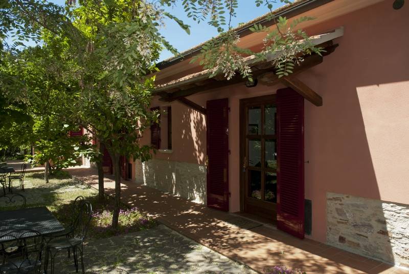 36 M² Farmhouse ∙ 1 Bedroom ∙ 4 Guests - San Vincenzo