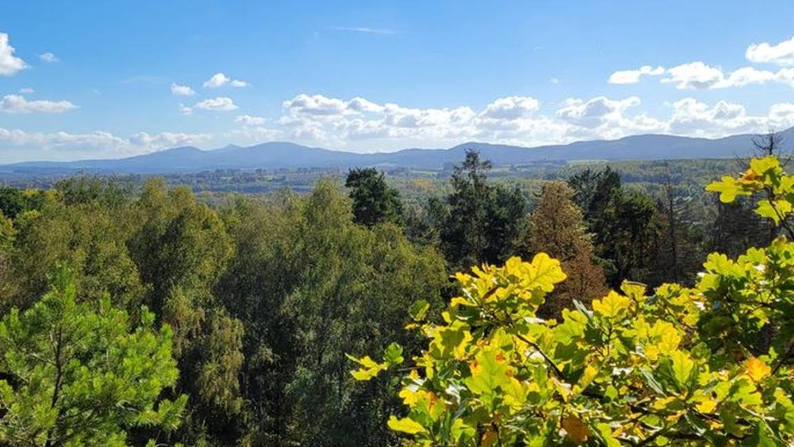 38 M² Apartment ∙ 1 Bedroom ∙ 2 Guests - Zittau