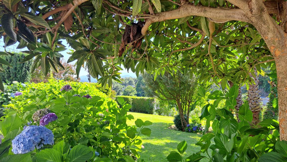 40 M² Vivenda ∙ 3 Quartos ∙ 8 Hóspedes - São Pedro do Sul