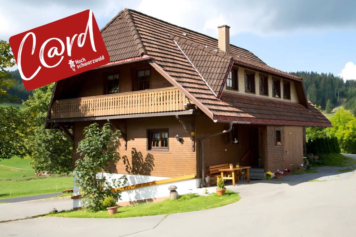 200 M² Herberg ∙ 8 Slaapkamers ∙ 19 Gasten - Titisee-Neustadt