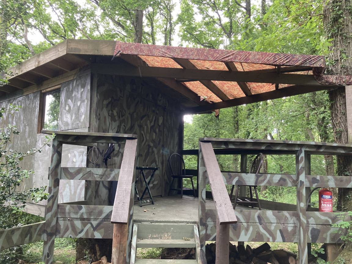 40 M² Cabin ∙ 1 Bedroom ∙ 3 Guests - Forest of Dean