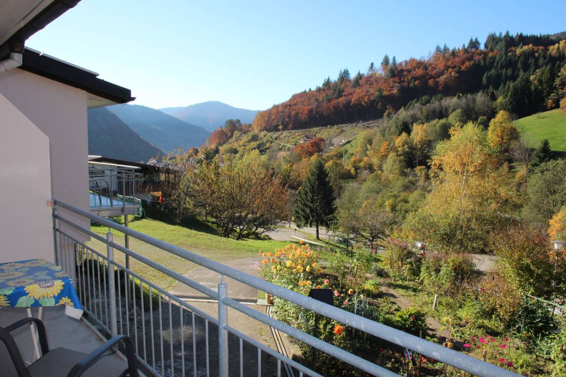 36 M² Ferienwohnung ∙ 1 Schlafzimmer ∙ 2 Gäste - Münstertal/Schwarzwald