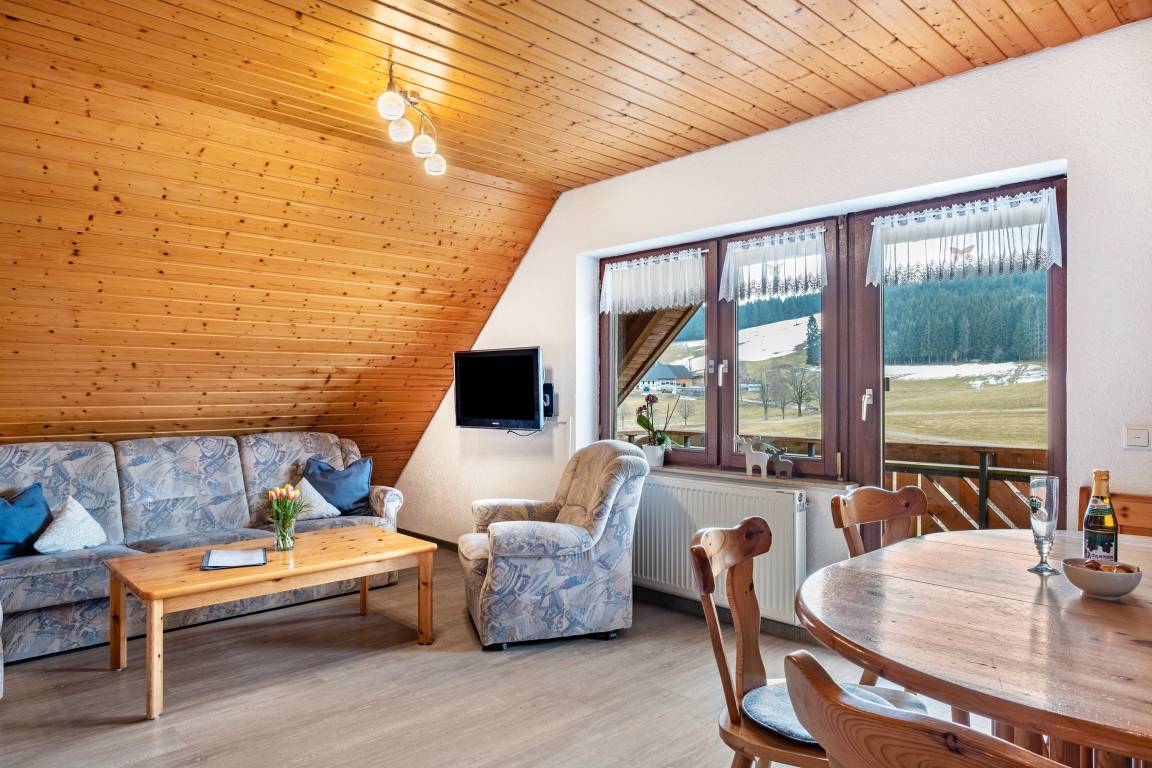 60 M² Apartment ∙ 2 Bedrooms ∙ 5 Guests - Titisee-Neustadt