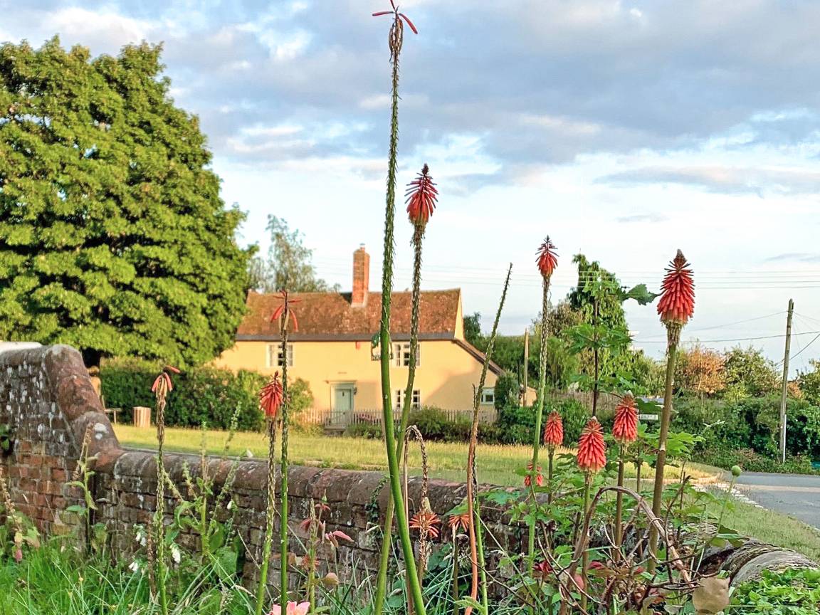 Cottage ∙ 3 Bedrooms ∙ 6 Guests - Essex