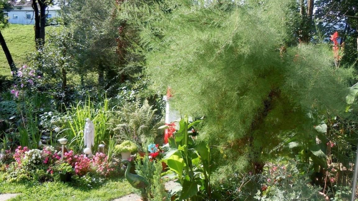 60 M² Ferienwohnung ∙ 1 Schlafzimmer ∙ 3 Gäste - Gundelfingen